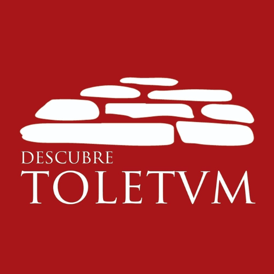 Descubre Toletum - Asociaciones Hispania Nostra